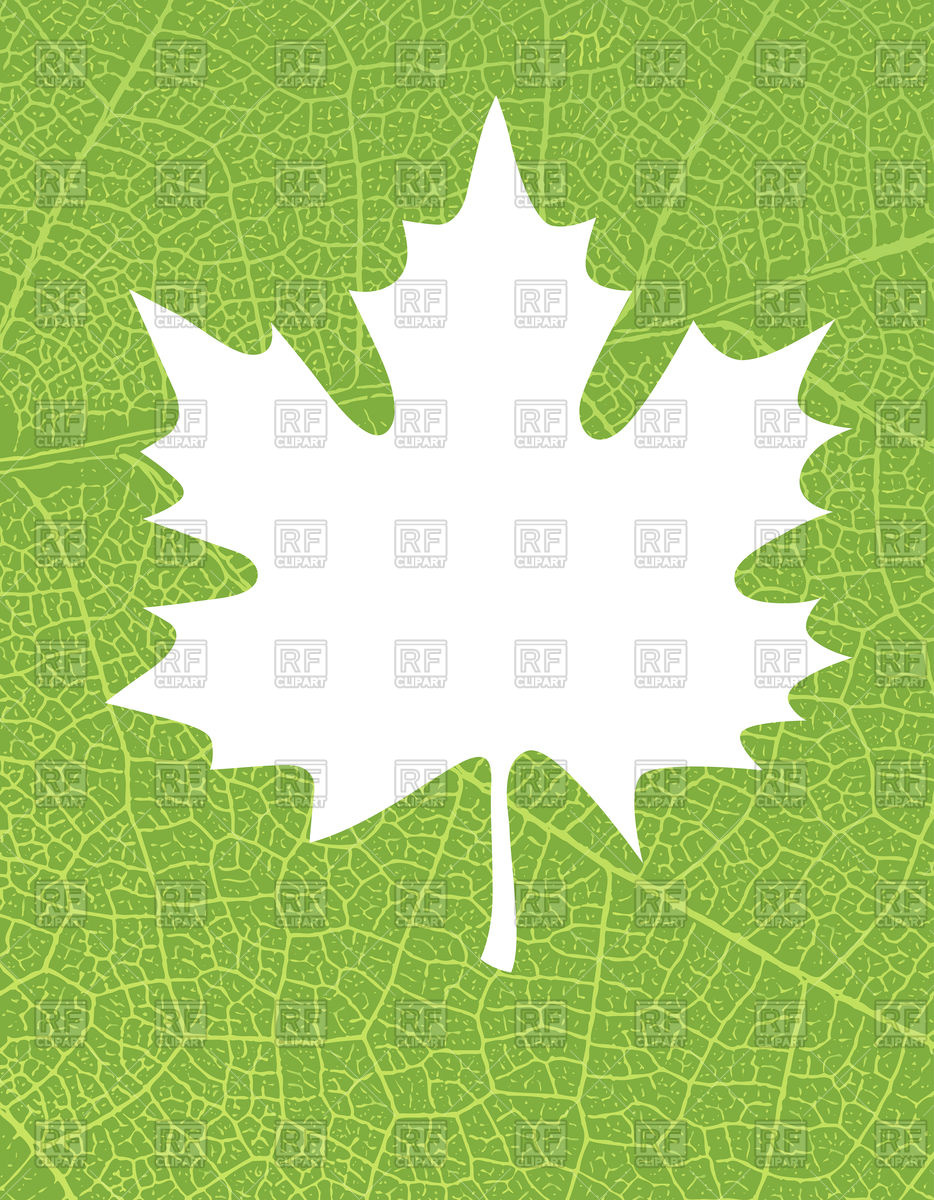 Abstract Leaf Vector At Collection Of Abstract Leaf Vector Free For Personal Use