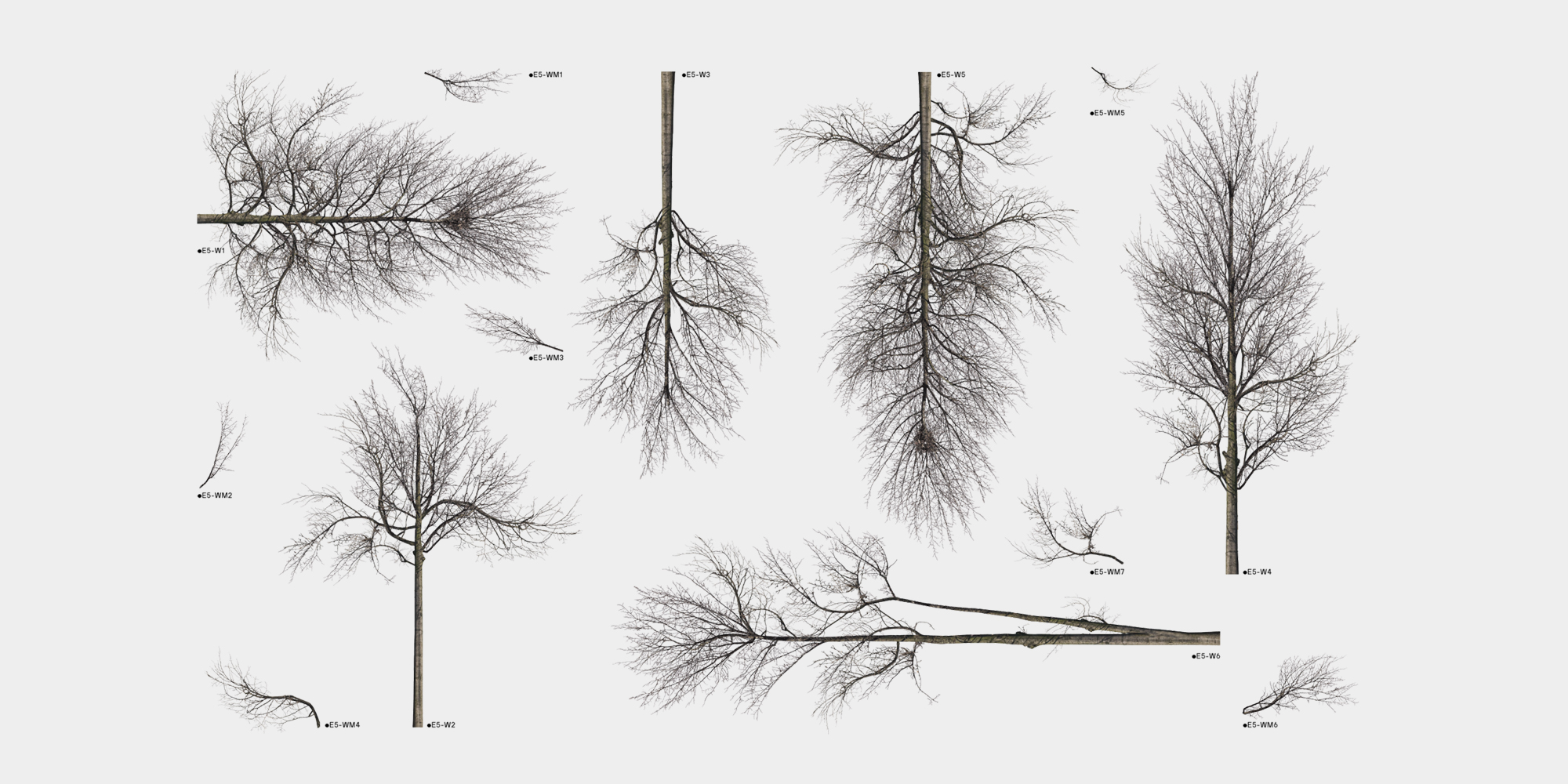 Architecture Tree Vector at Vectorified.com | Collection of ... Architecture Tree Vector at Vectorified.com | Collection of ...