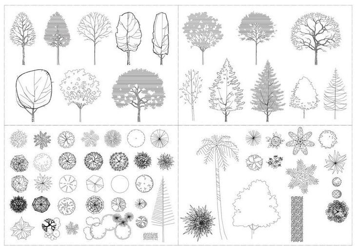 Architecture Tree Vector at Vectorified.com | Collection of ... Architecture Tree Vector at Vectorified.com | Collection of ...