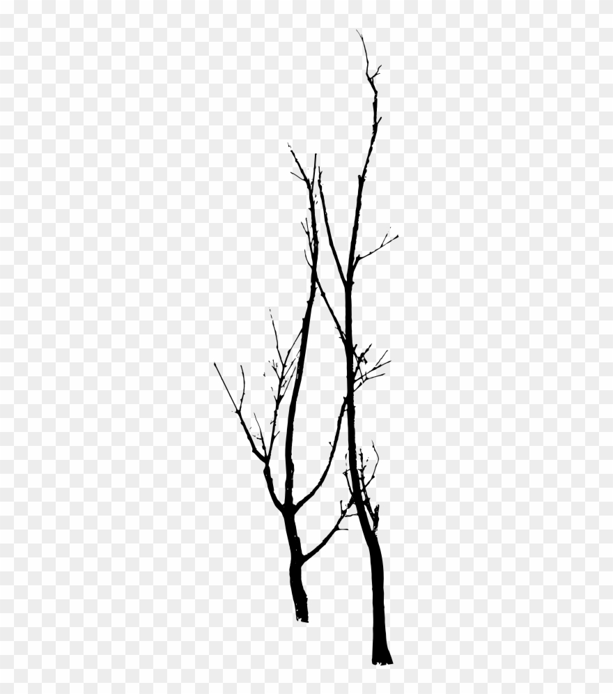 Architecture Tree Vector at Vectorified.com | Collection of ... Architecture Tree Vector at Vectorified.com | Collection of ...