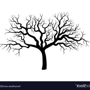 Bare Tree Vector at Vectorified.com | Collection of Bare Tree Vector free for personal use