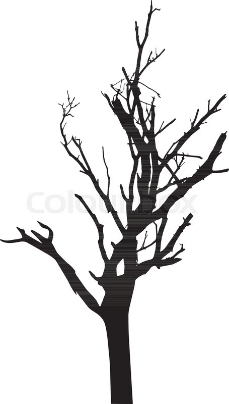 Bare Tree Vector at Vectorified.com | Collection of Bare Tree Vector free for personal use
