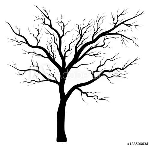 Bare Tree Vector at Vectorified.com | Collection of Bare Tree Vector free for personal use