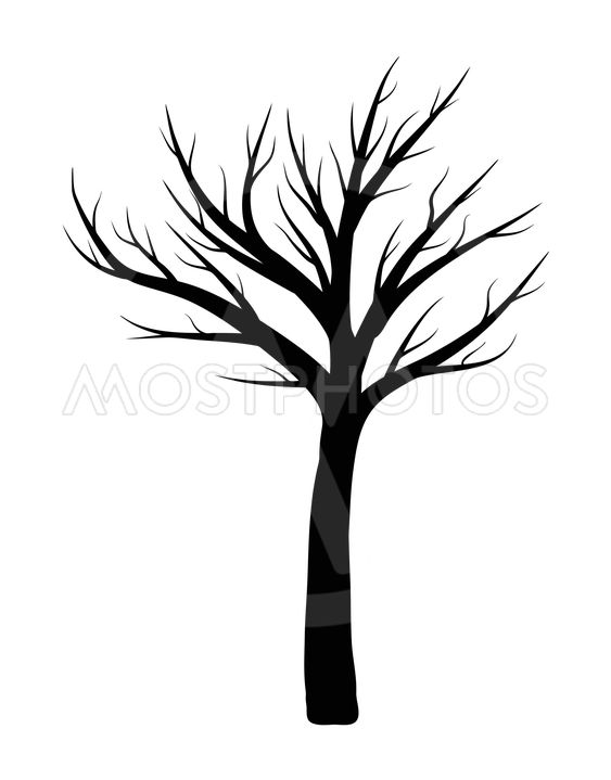 Bare Tree Vector at Vectorified.com | Collection of Bare Tree Vector free for personal use
