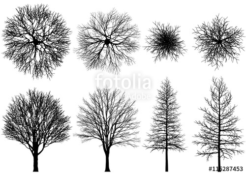 Bare Tree Vector at Vectorified.com | Collection of Bare Tree Vector free for personal use