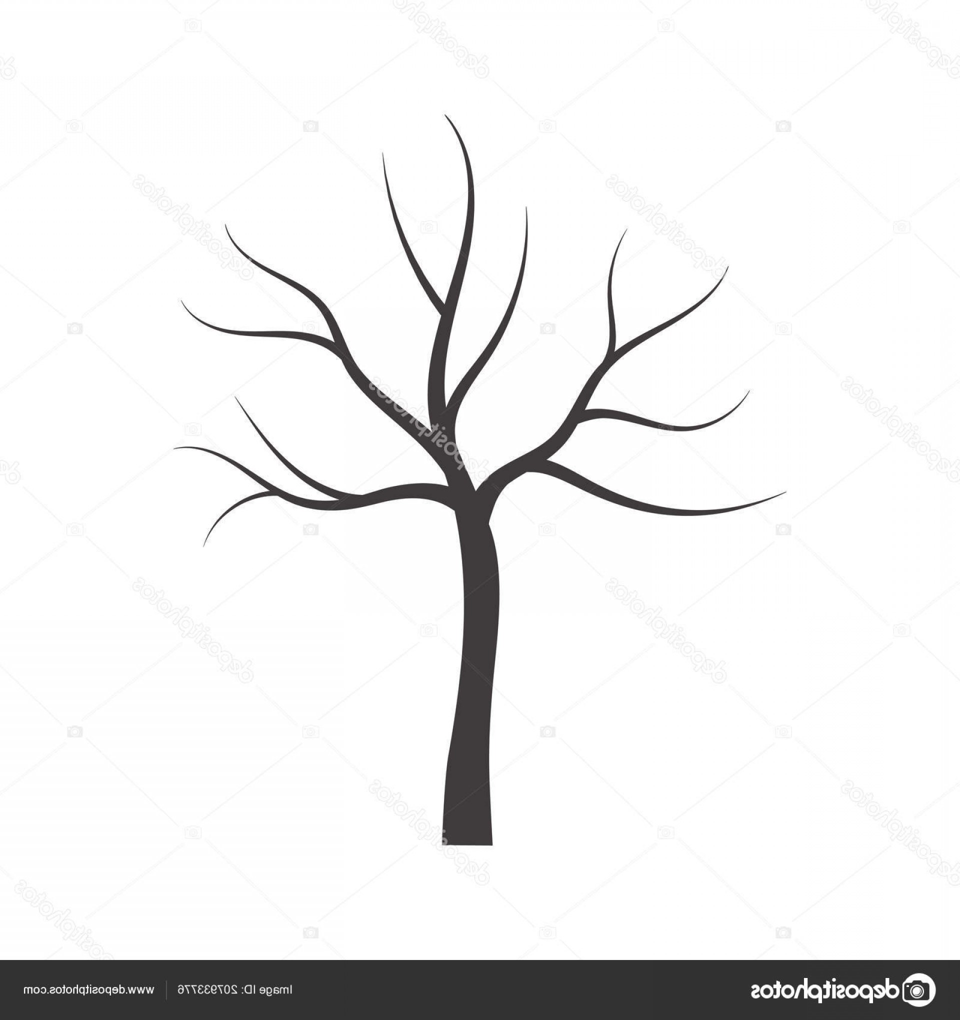 Bare Tree Vector at Vectorified.com | Collection of Bare Tree Vector free for personal use