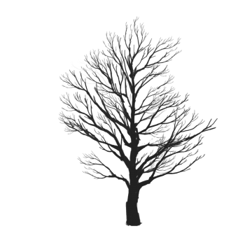 Black And White Tree Vector at Vectorified.com | Collection of Black And White Tree Vector free ...