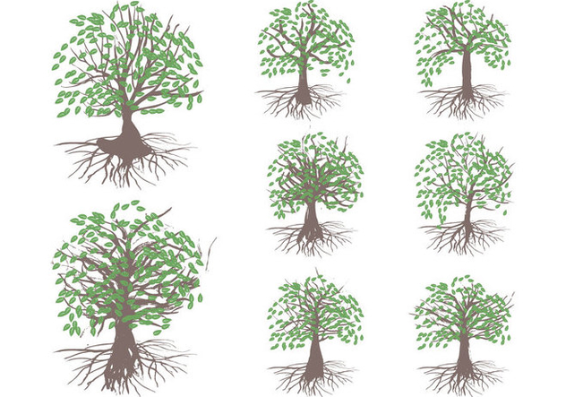 Celtic Tree Vector at Vectorified.com | Collection of Celtic Tree ... Celtic Tree Vector at Vectorified.com | Collection of Celtic Tree ...
