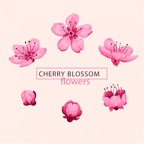 Cherry Blossom Vector Art at Vectorified.com | Collection of Cherry ... Cherry Blossom Vector Art at Vectorified.com | Collection of Cherry ...