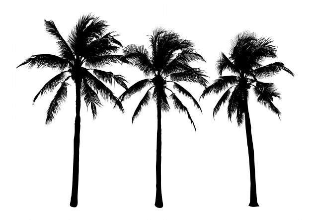 Coconut Tree Vector at Vectorified.com | Collection of Coconut Tree ... Coconut Tree Vector at Vectorified.com | Collection of Coconut Tree ...
