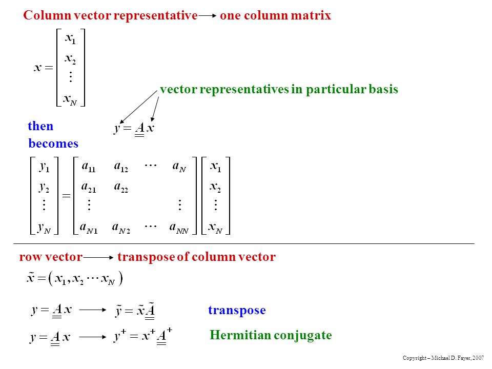 Conjugate Vector At Collection Of Conjugate Vector Free For Personal Use