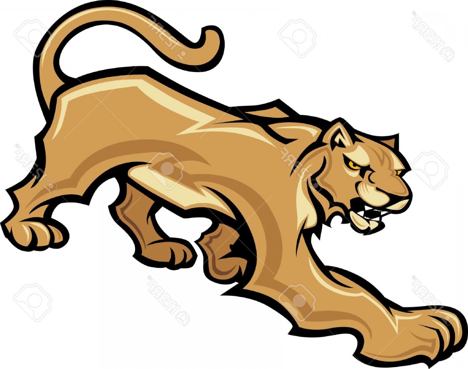 Cougar Mascot Vector at Vectorified.com | Collection of Cougar Mascot ... Cougar Mascot Vector at Vectorified.com | Collection of Cougar Mascot ...