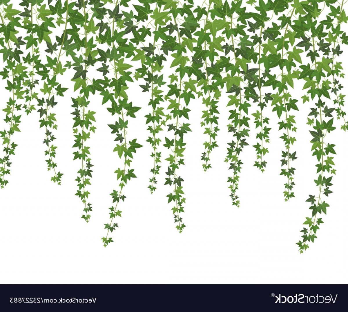 Creeper Vector At Collection Of Creeper Vector Free