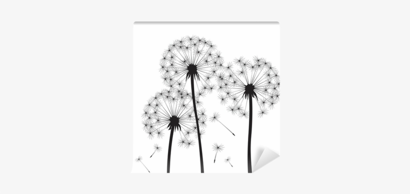 Dandelion Vector Png at Vectorified.com | Collection of Dandelion ... Dandelion Vector Png at Vectorified.com | Collection of Dandelion ...
