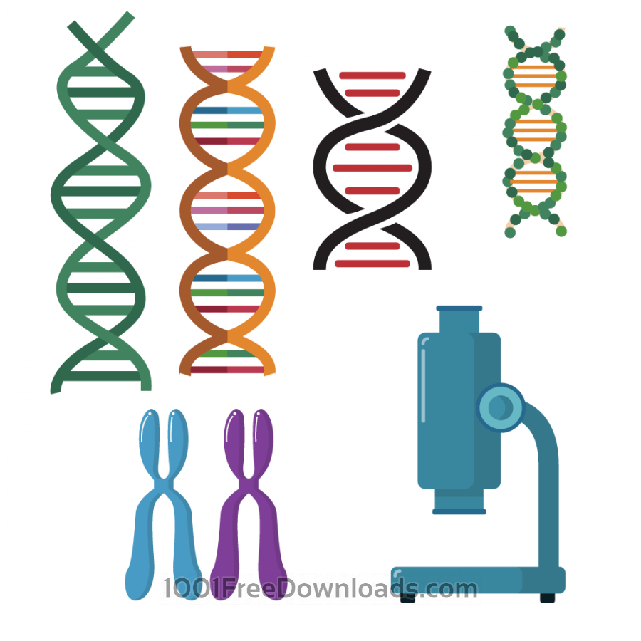 Double Helix Vector at Vectorified.com | Collection of Double Helix ... Double Helix Vector at Vectorified.com | Collection of Double Helix ...