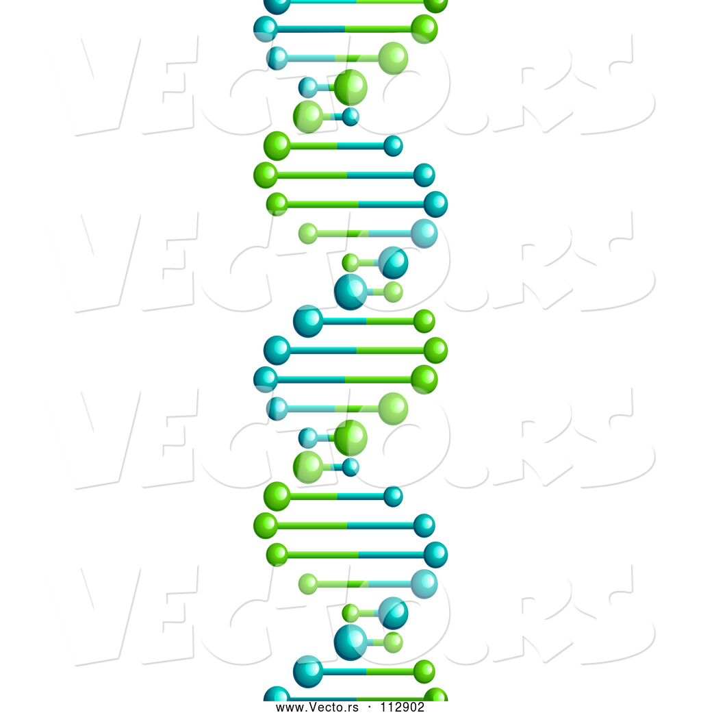 Double Helix Vector at Vectorified.com | Collection of Double Helix ... Double Helix Vector at Vectorified.com | Collection of Double Helix ...