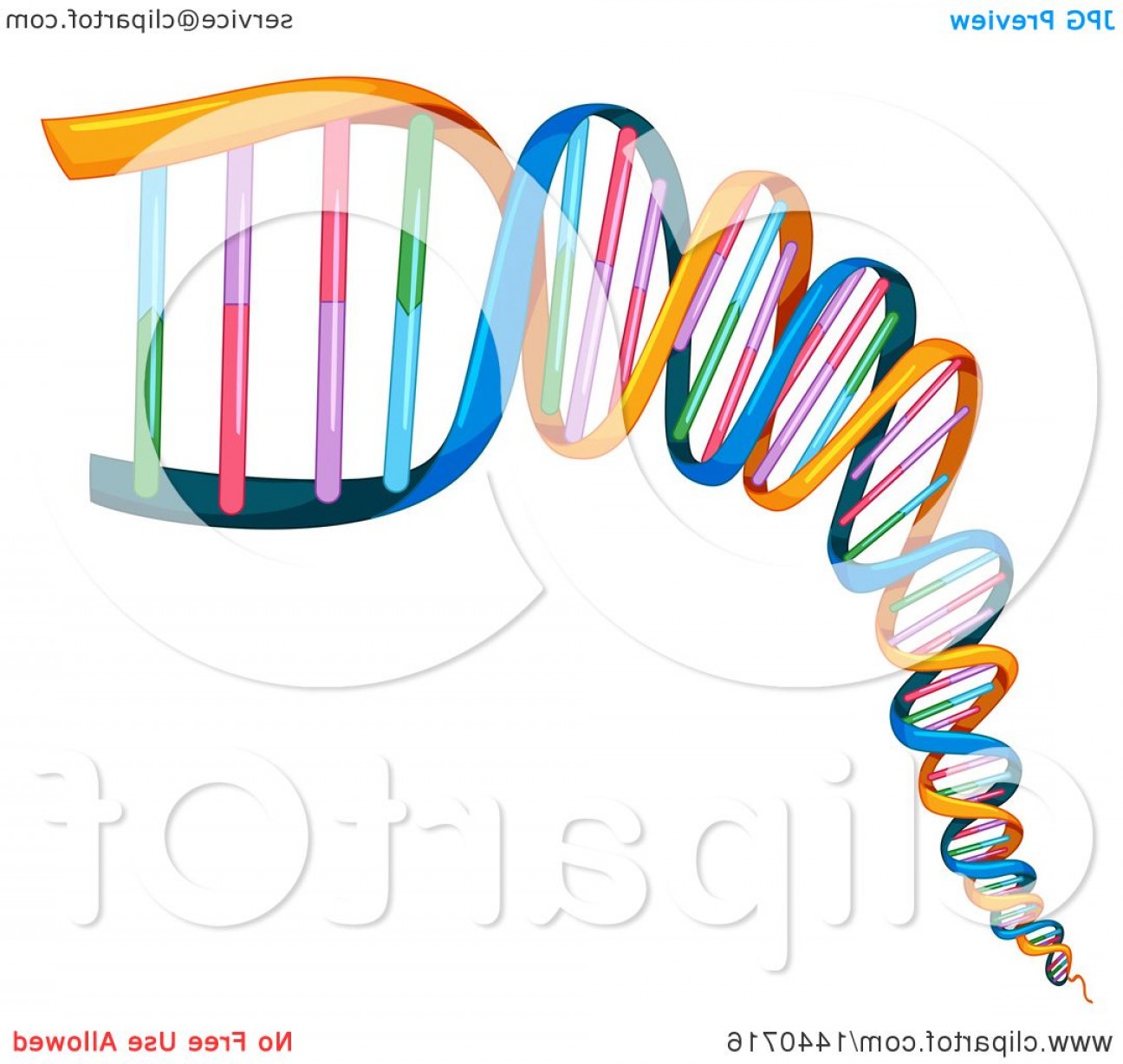 Double Helix Vector at Vectorified.com | Collection of Double Helix ... Double Helix Vector at Vectorified.com | Collection of Double Helix ...