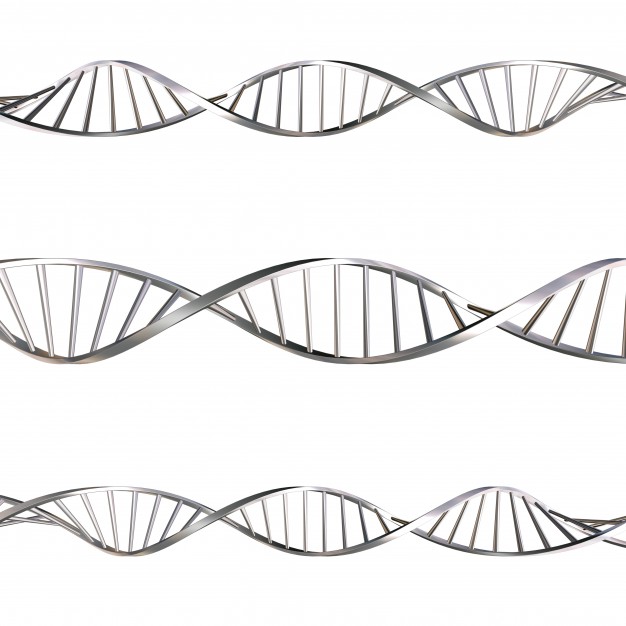 Double Helix Vector at Vectorified.com | Collection of Double Helix ... Double Helix Vector at Vectorified.com | Collection of Double Helix ...