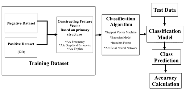 Feature Vector At Collection Of Feature Vector Free