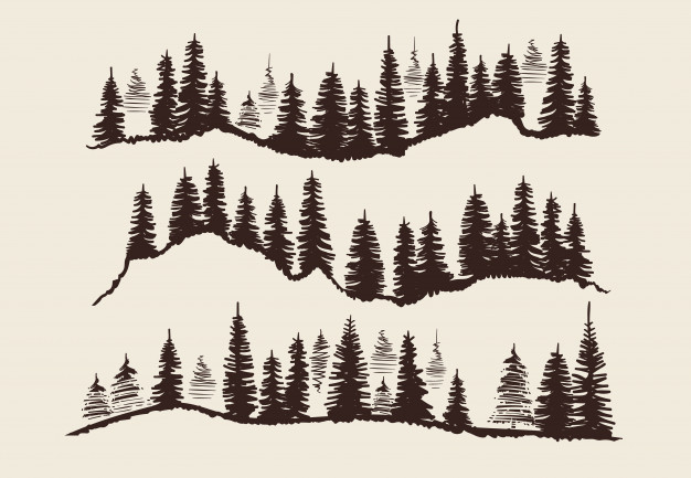 Fir Tree Silhouette Vector at Vectorified.com | Collection of Fir Tree ... Fir Tree Silhouette Vector at Vectorified.com | Collection of Fir Tree ...