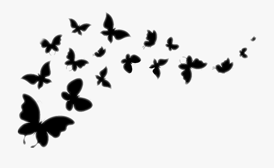 Flying Butterfly Vector At Collection Of Flying