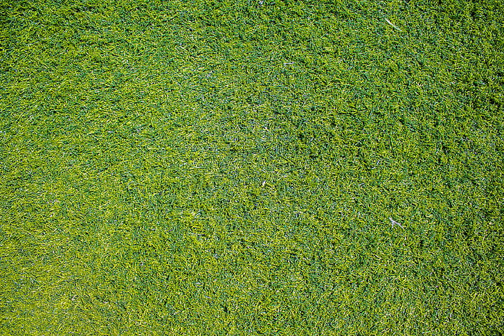 Grass Top View Vector At Collection Of Grass Top View Vector Free For Personal Use