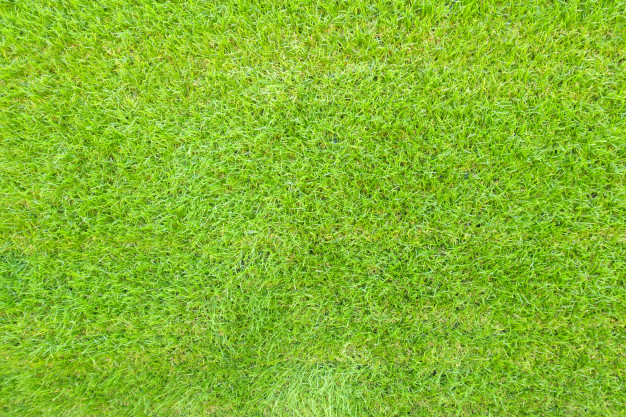 Grass Top View Vector At Collection Of Grass Top View Vector Free For Personal Use