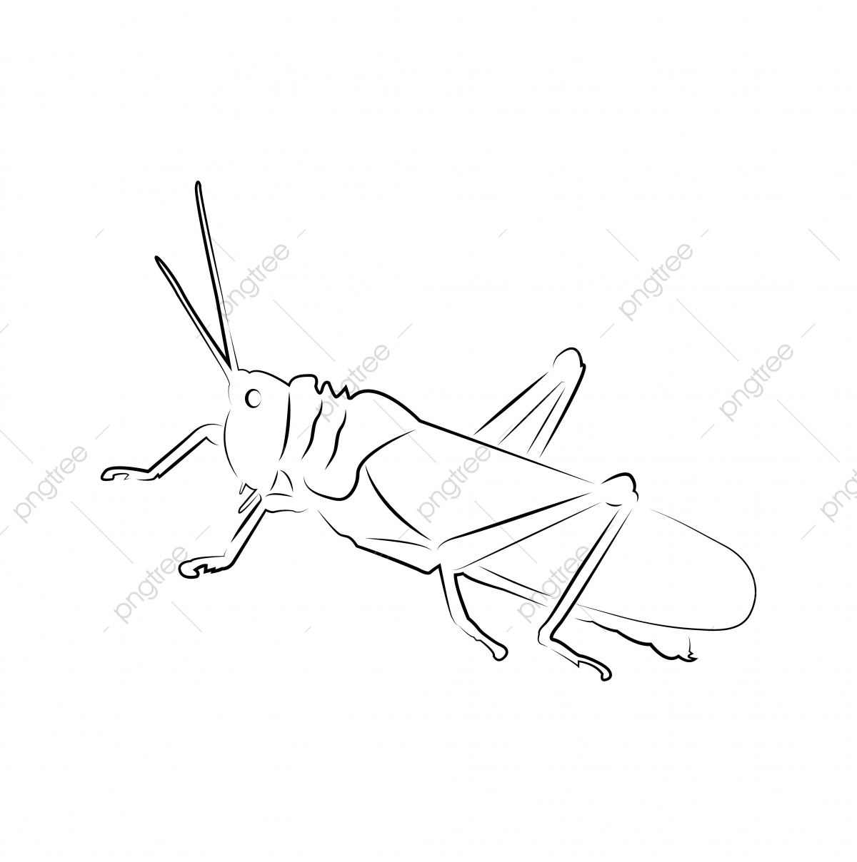 Grasshopper Logo Vector At Collection Of Grasshopper Logo Vector Free For