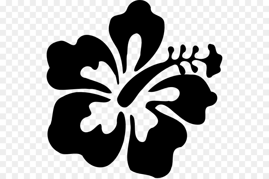 Hawaiian Flower Vector At Collection Of Hawaiian