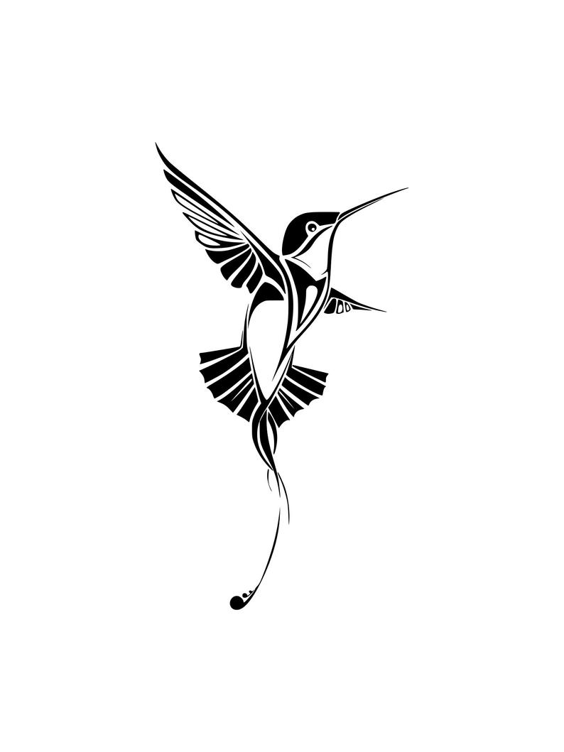 Hummingbird Silhouette Vector At Collection Of