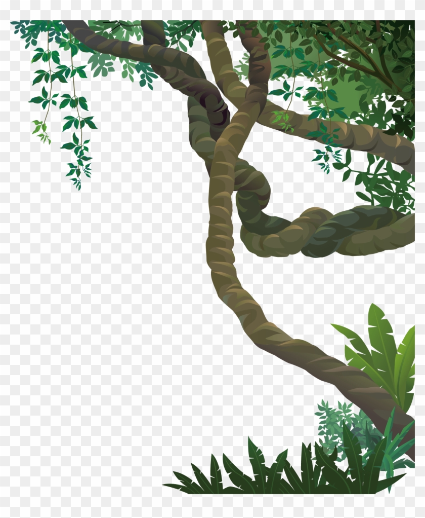 Jungle Vines Vector at Vectorified.com | Collection of Jungle Vines ... Jungle Vines Vector at Vectorified.com | Collection of Jungle Vines ...