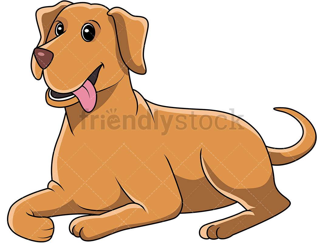 146 Labrador vector images at Vectorified.com 146 Labrador vector images at Vectorified.com