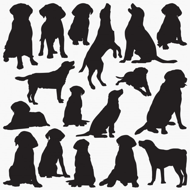 Labrador Silhouette Vector at Vectorified.com | Collection of Labrador ... Labrador Silhouette Vector at Vectorified.com | Collection of Labrador ...