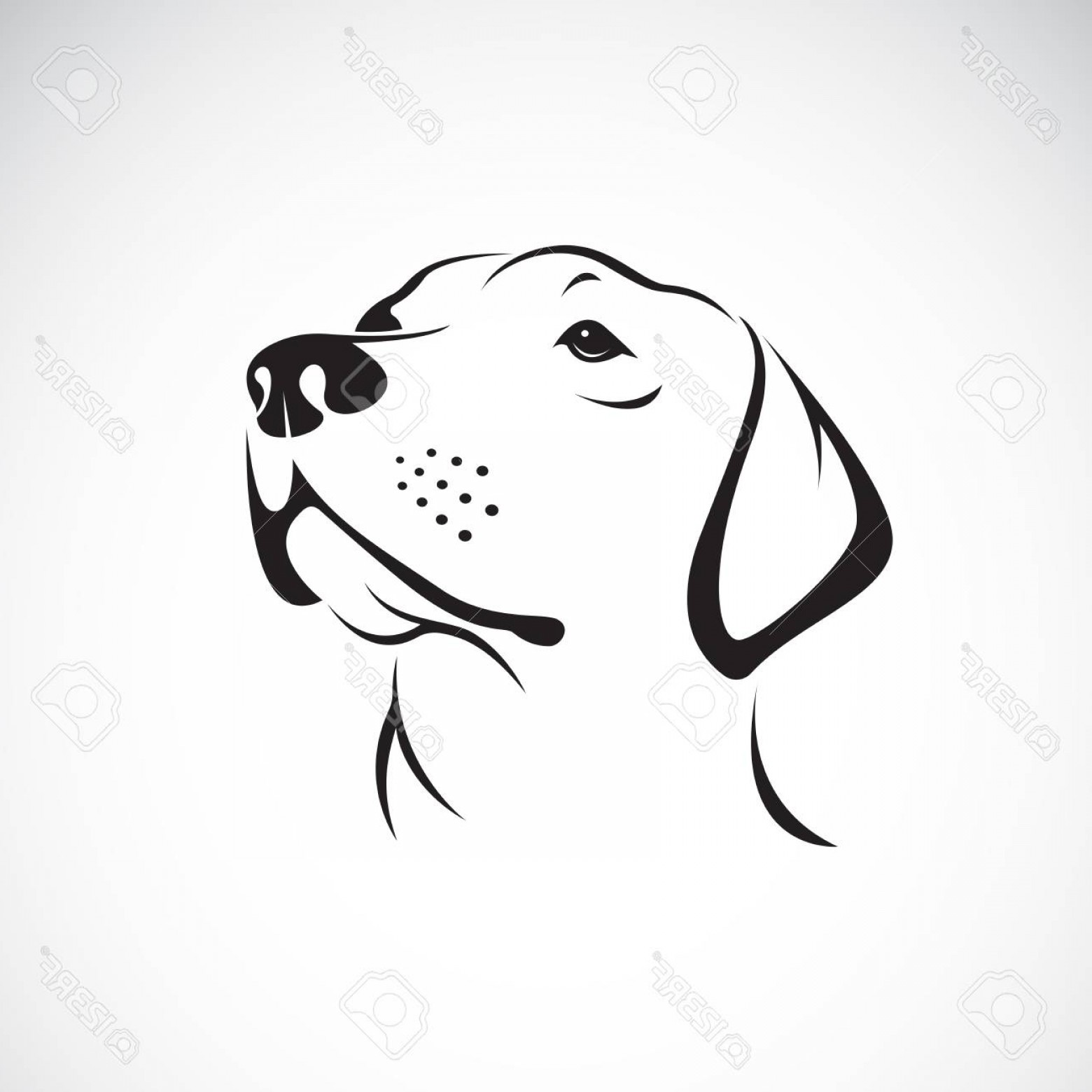 Labrador Vector at Vectorified.com | Collection of Labrador Vector free ... Labrador Vector at Vectorified.com | Collection of Labrador Vector free ...