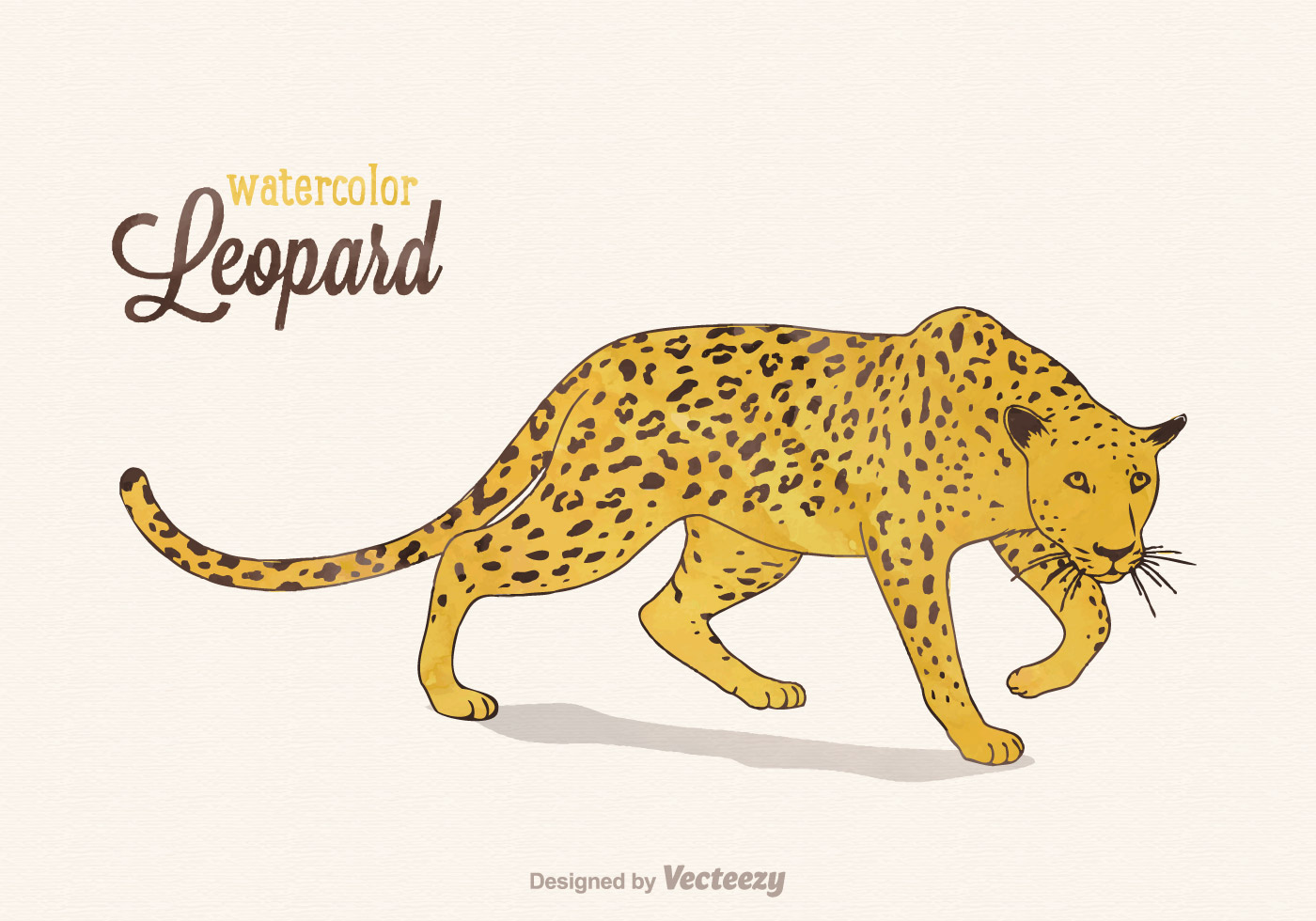 Leopard Vector At Collection Of Leopard Vector Free