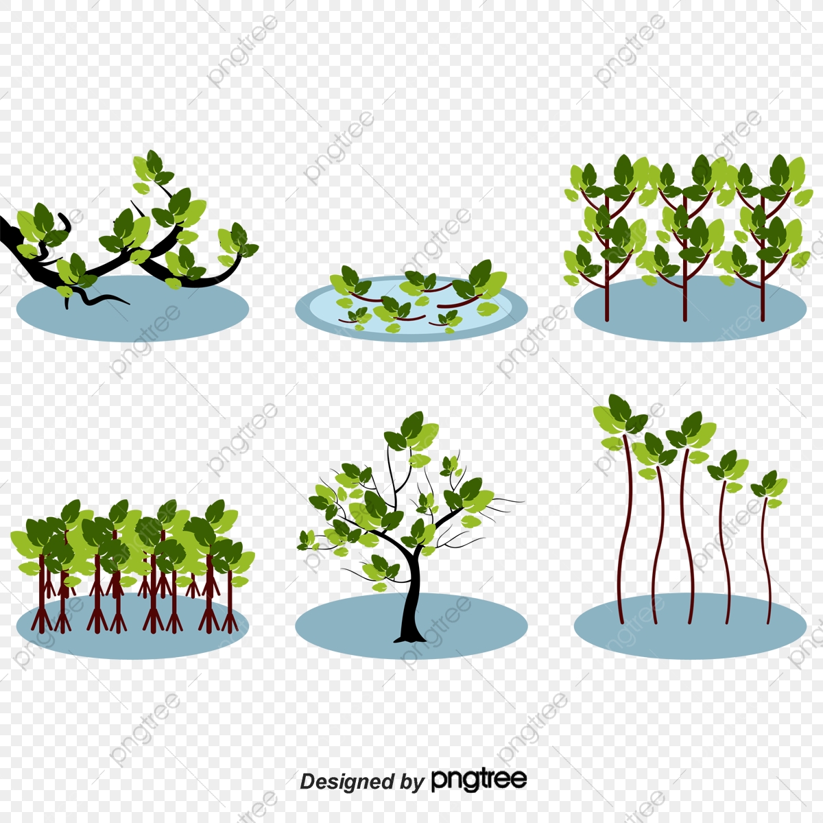 Mangrove Vector at Vectorified.com | Collection of Mangrove Vector free ... Mangrove Vector at Vectorified.com | Collection of Mangrove Vector free ...