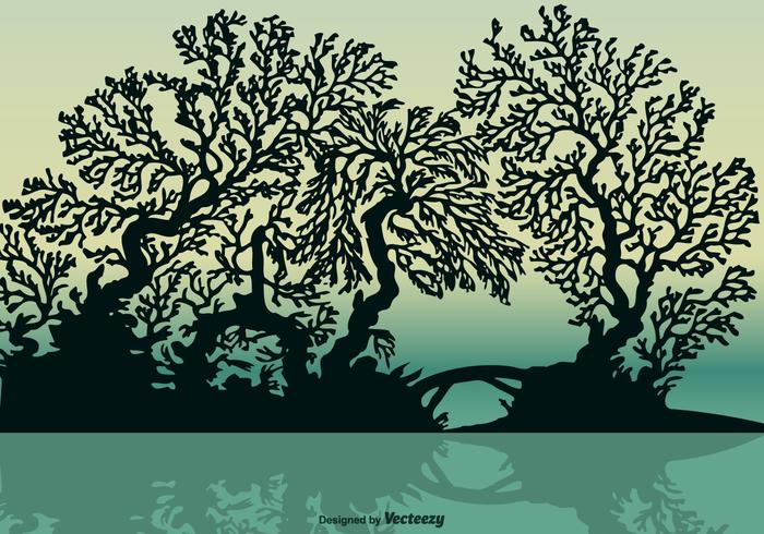 Mangrove Vector at Vectorified.com | Collection of Mangrove Vector free ... Mangrove Vector at Vectorified.com | Collection of Mangrove Vector free ...