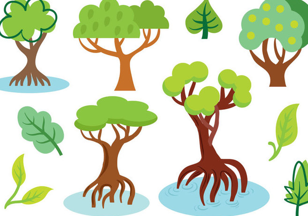 Mangrove Vector at Vectorified.com | Collection of Mangrove Vector free ... Mangrove Vector at Vectorified.com | Collection of Mangrove Vector free ...