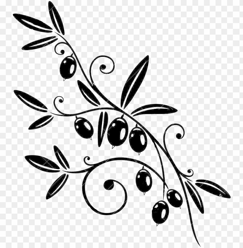 Olive Branch Vector at Vectorified.com | Collection of Olive Branch ... Olive Branch Vector at Vectorified.com | Collection of Olive Branch ...