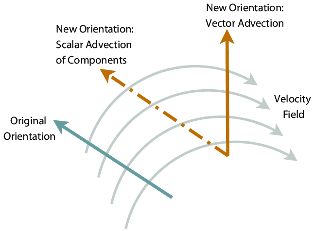 Orientation Vector At Collection Of Orientation