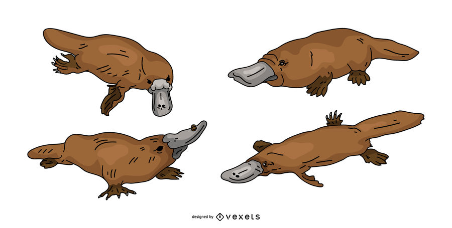 Platypus Vector at Vectorified.com | Collection of Platypus Vector free ... Platypus Vector at Vectorified.com | Collection of Platypus Vector free ...