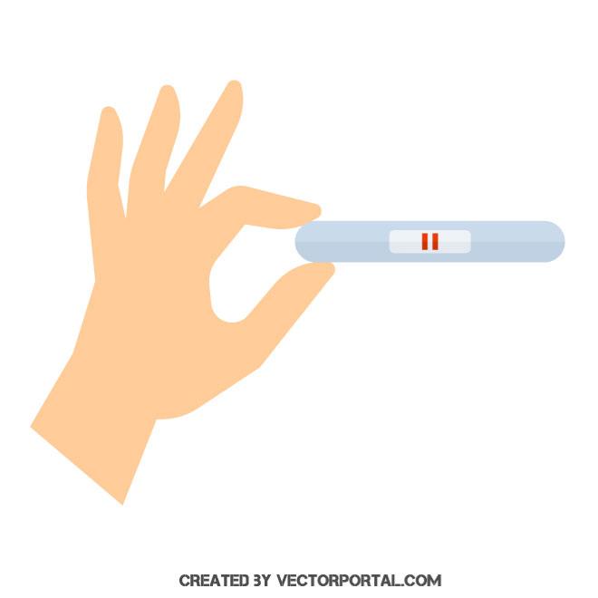 Pregnancy Test Vector At Collection Of Pregnancy Test