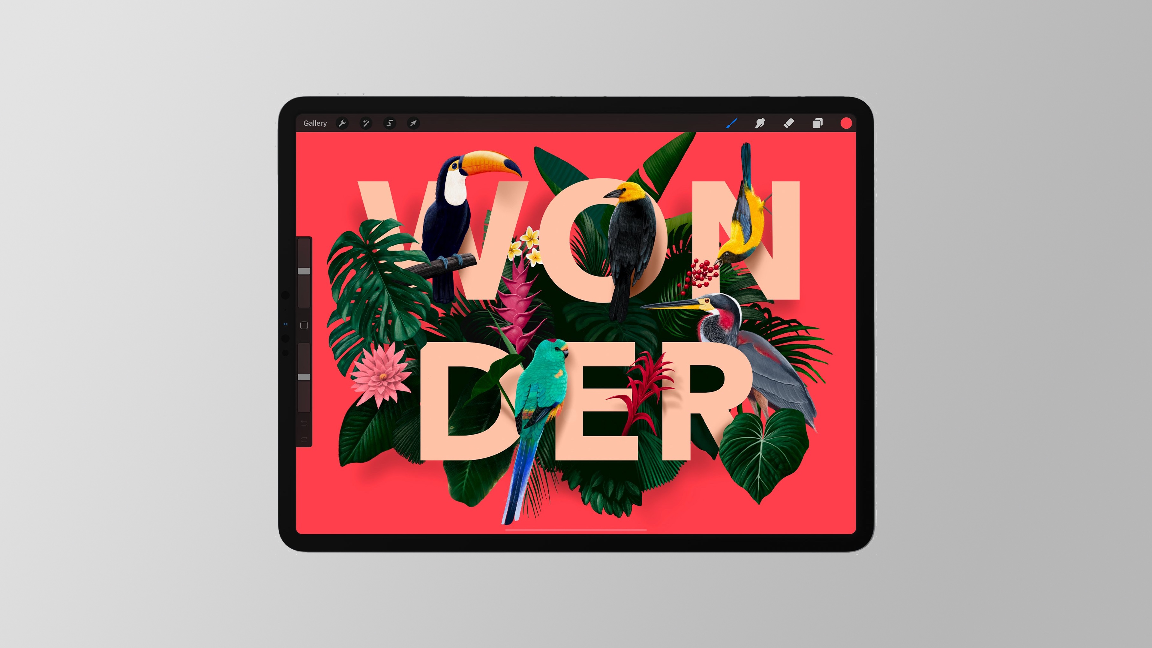 Procreate Vector At Vectorified Collection Of Procreate Vector 