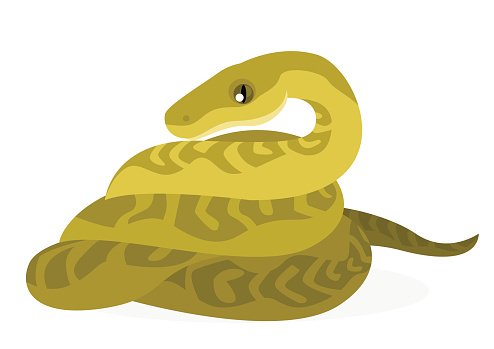 Python Vector at Vectorified.com | Collection of Python Vector free for personal use