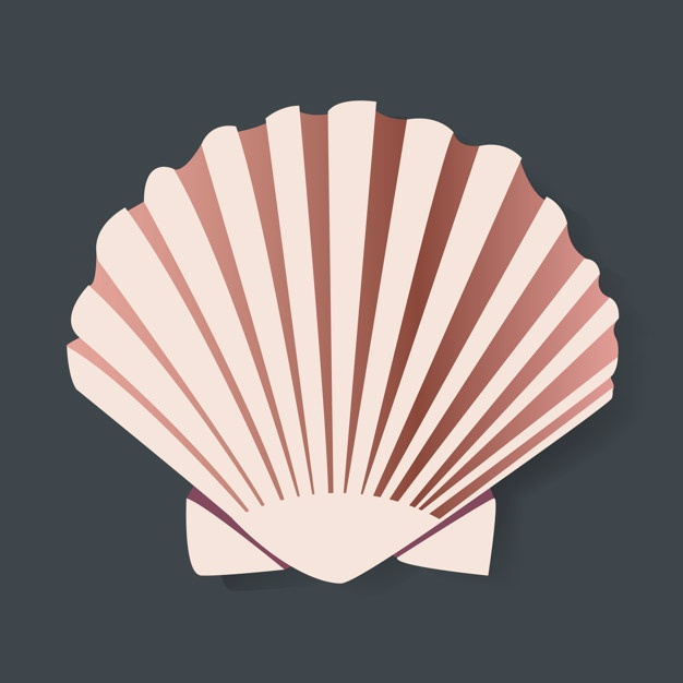 Seashell Vector Free at Vectorified.com | Collection of Seashell Vector ... Seashell Vector Free at Vectorified.com | Collection of Seashell Vector ...