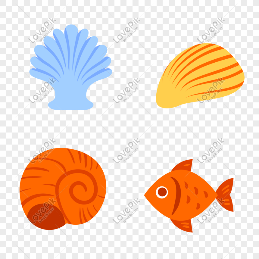 Seashell Vector Free at Vectorified.com | Collection of Seashell Vector ... Seashell Vector Free at Vectorified.com | Collection of Seashell Vector ...