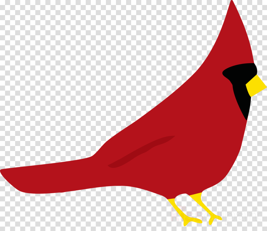 St Louis Cardinals Vector at Vectorified.com | Collection of St Louis ... St Louis Cardinals Vector at Vectorified.com | Collection of St Louis ...