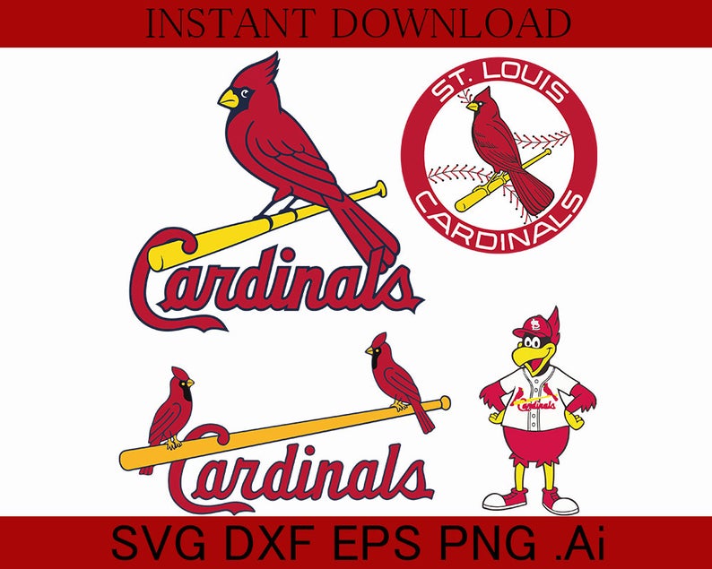 St Louis Cardinals Vector at Vectorified.com | Collection of St Louis ... St Louis Cardinals Vector at Vectorified.com | Collection of St Louis ...