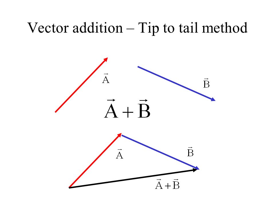 Tail To Tail Vector At Collection Of Tail To Tail Vector Free For Personal Use