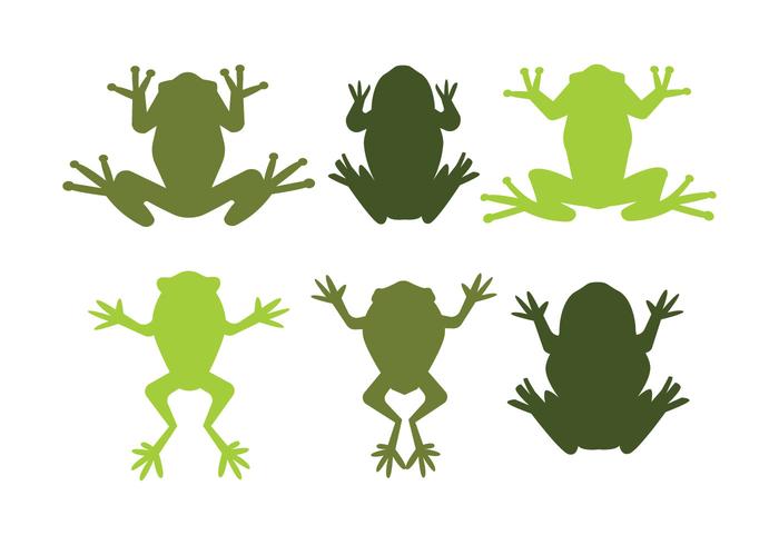 Tree Frog Vector at Vectorified.com | Collection of Tree Frog Vector ... Tree Frog Vector at Vectorified.com | Collection of Tree Frog Vector ...